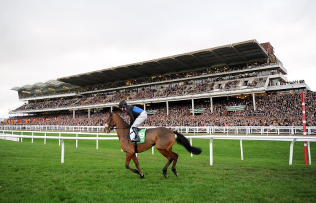 History of Cheltenham Racecourse | The Winners Enclosure