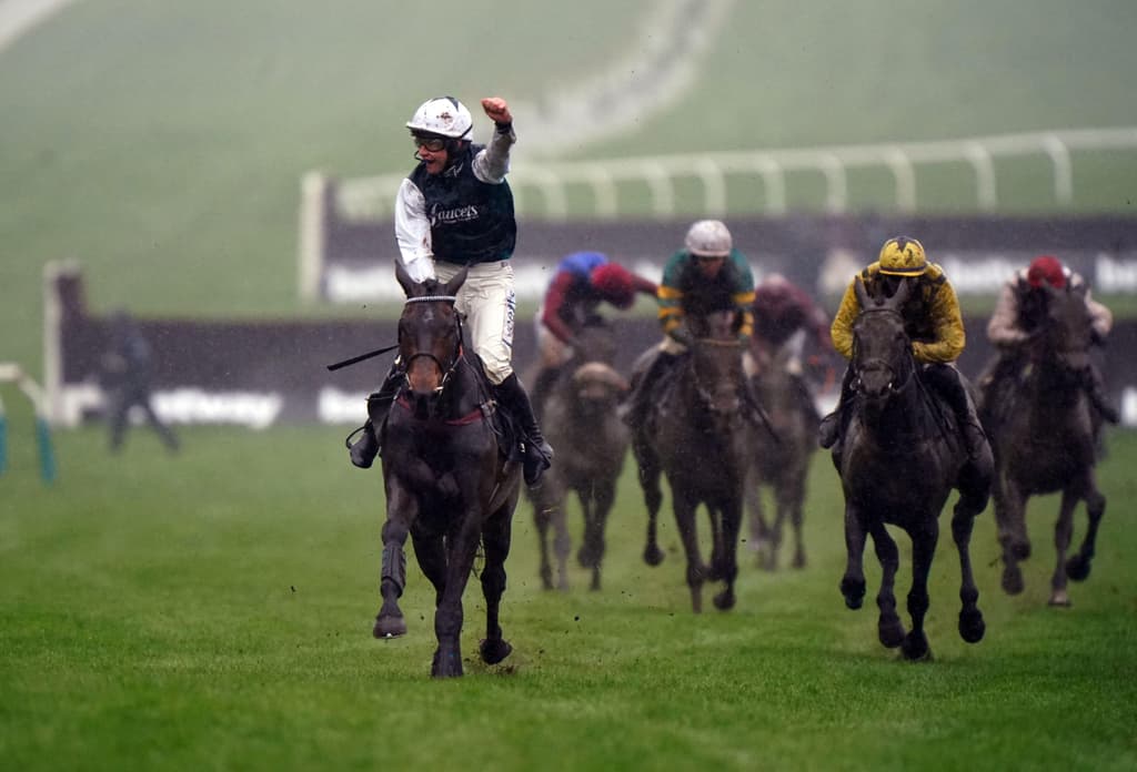 The Biggest Cheltenham Wins & Bets Seen at Cheltenham Festival | The ...