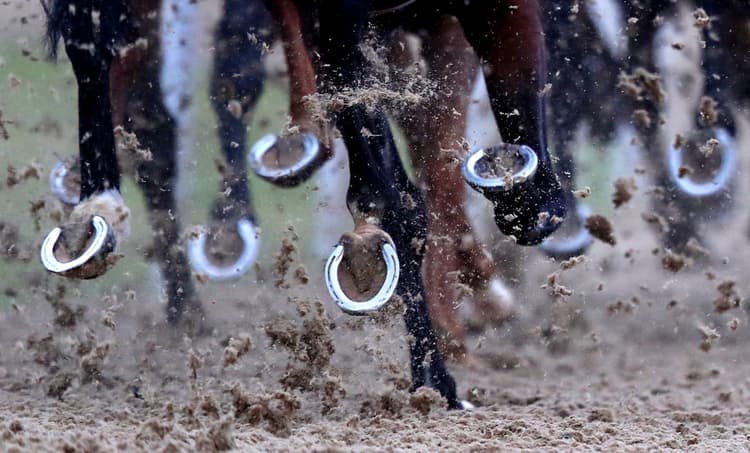 ITV Racing Tips For Today - Friday 20th February 2026 | The Winners ...